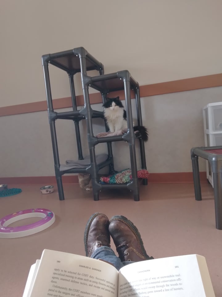 Volunteer - Saratoga County Animal Shelter